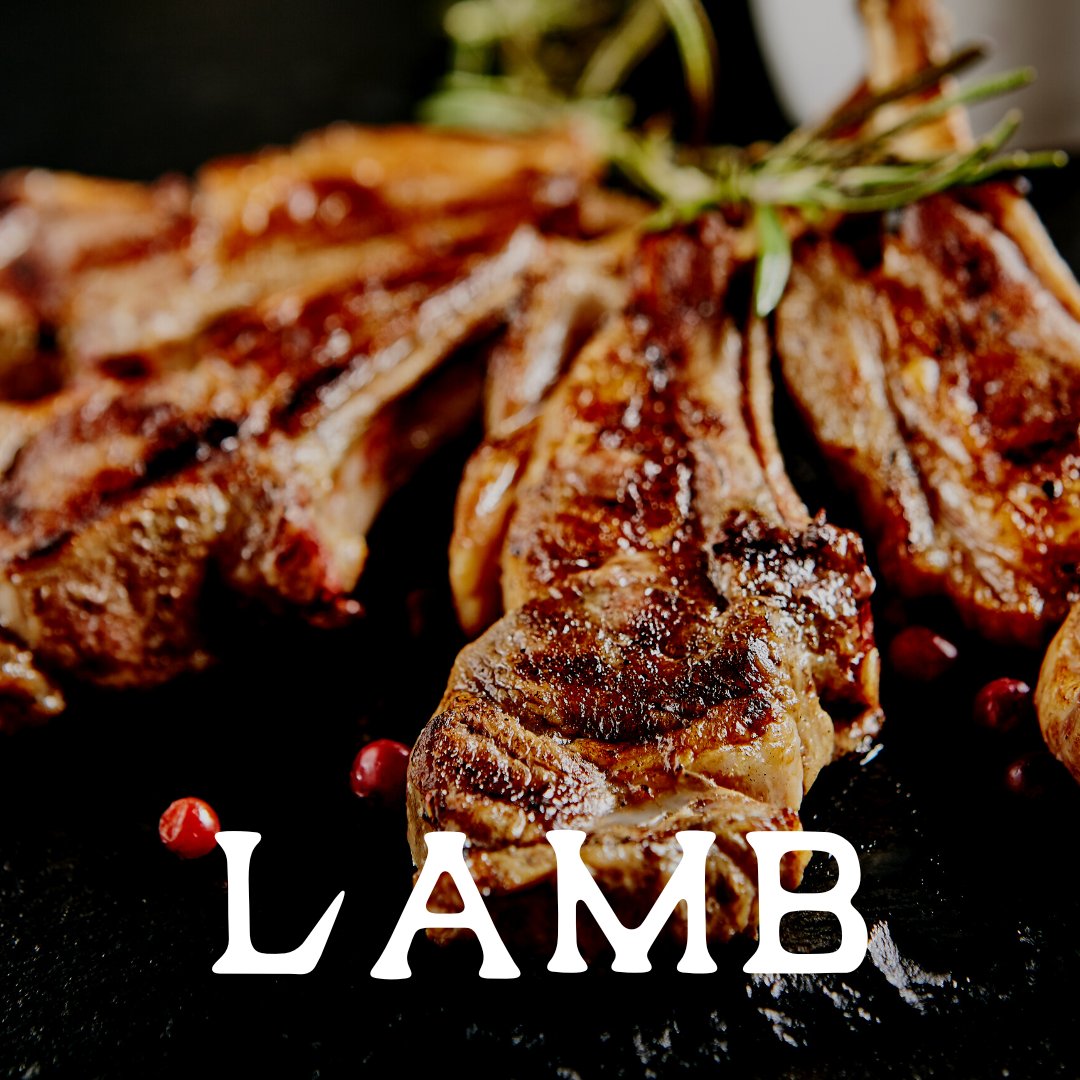 Grass Fed Lamb – Sage and Shepherd Ranch Inc.