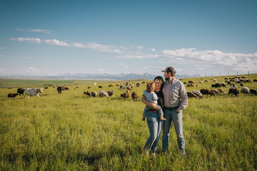 Sage and Shepherd Ranch | 100% Grass-fed Beef & Lamb Alberta – Sage and ...