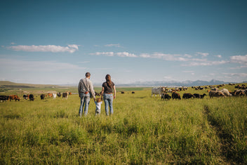 Sage and Shepherd Ranch | 100% Grass-fed Beef & Lamb Alberta – Sage and ...