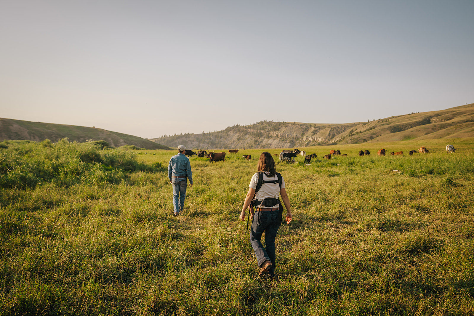 About – Sage and Shepherd Ranch Inc.